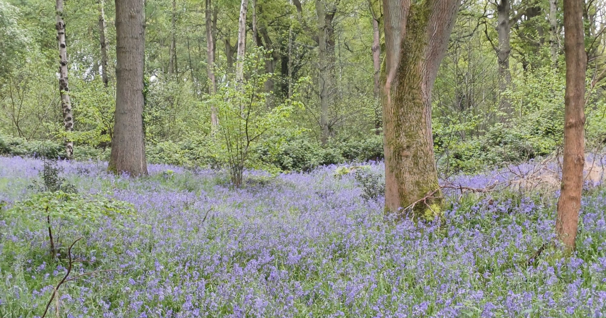 The Ercall and New Works,Shropshire - Ramblers