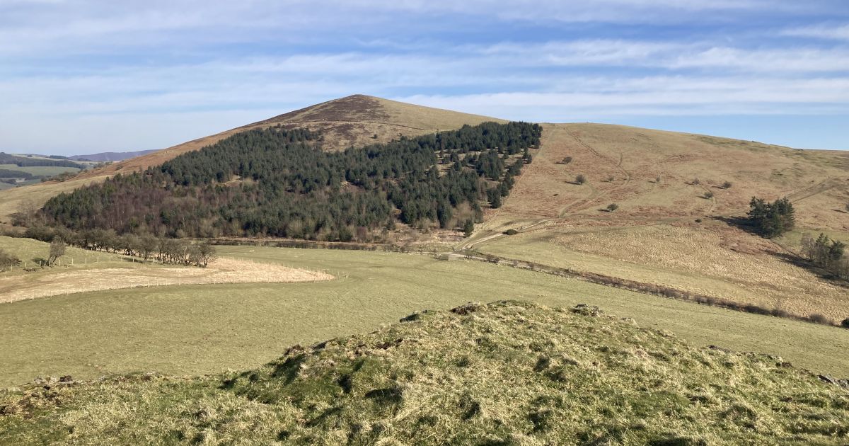 Three Hills - Ramblers