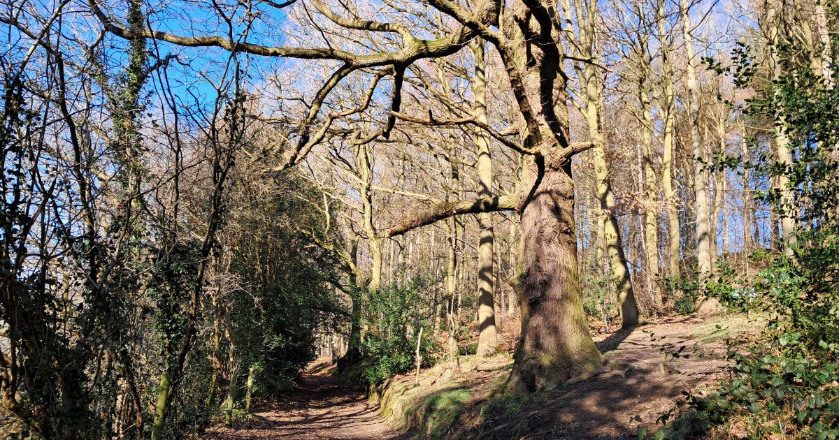 Moss Valley - Pre-booking with the Walk Leader is ESSENTIAL - Ramblers