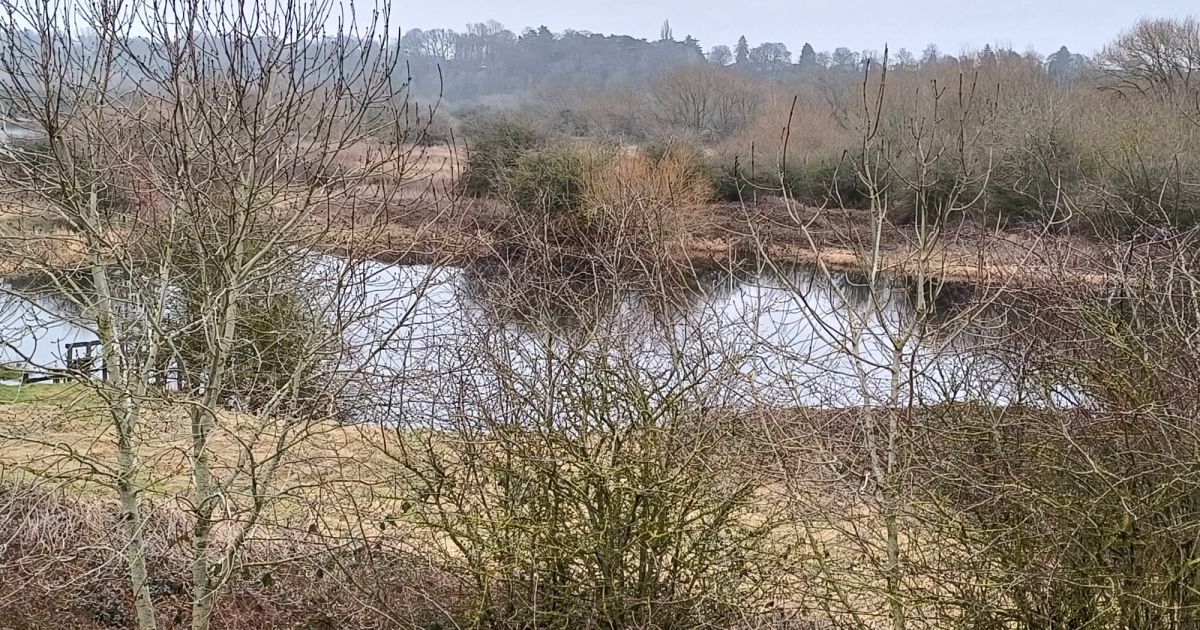 MONTHLY STROLL - Netherfield Lagoons & Stoke Lock - Ramblers