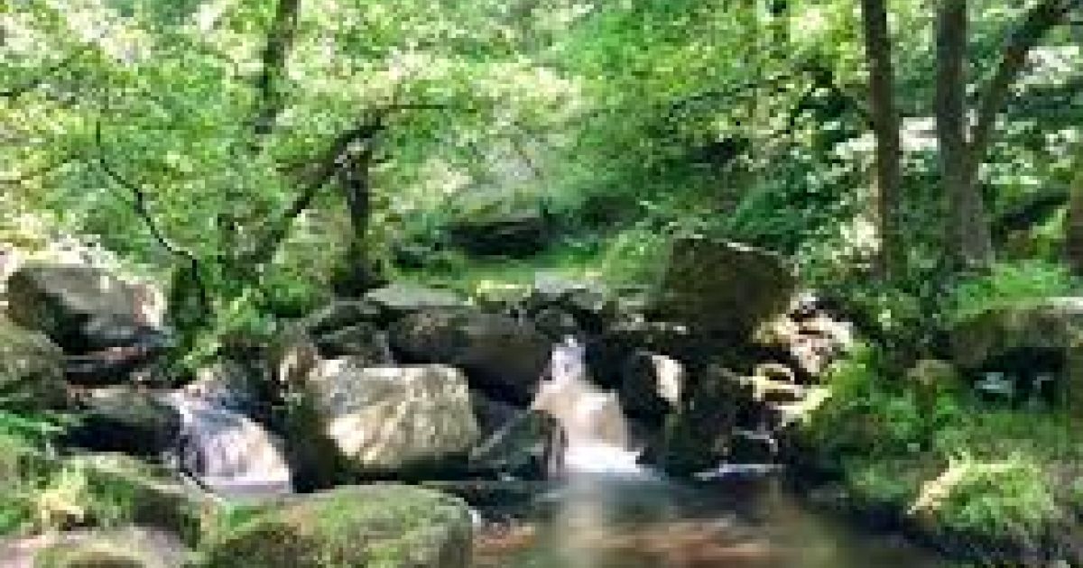 Padley Gorge - Thur 19 Jun - Ramblers