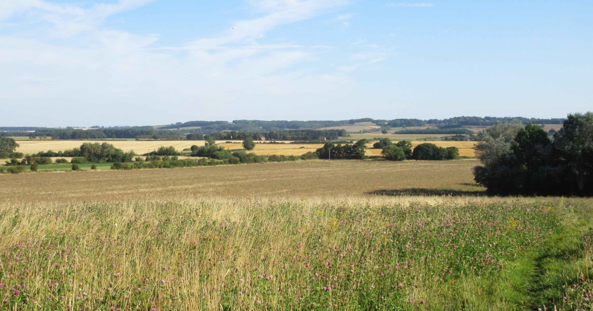 Partney Bridge - Ramblers