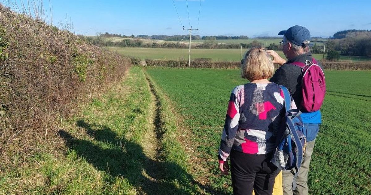ROCKBOURNE ROMAN VILLA - Ramblers