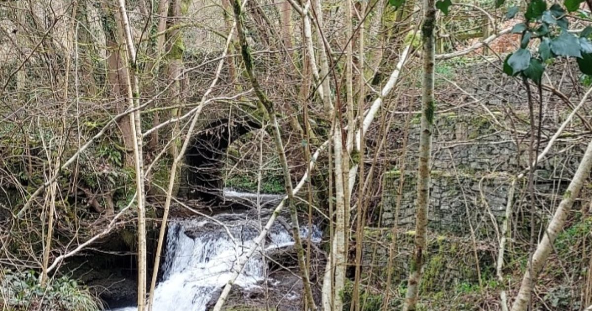 Tintern's Angidy Trail. Please book with the leader by phone. - Ramblers