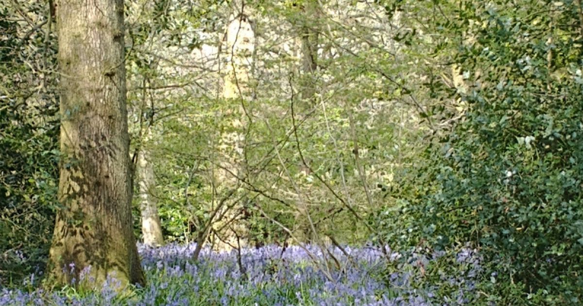 Test valley, Monarchs Way Circular - Ramblers