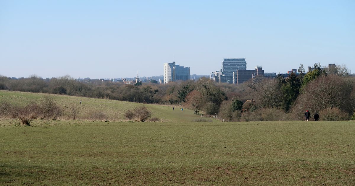 Basingstoke and Old Basing - Ramblers