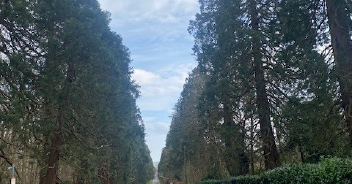 Horseshoe Lake, Moor Green Lakes, Finchampstead Ridges and Ambarrow ...