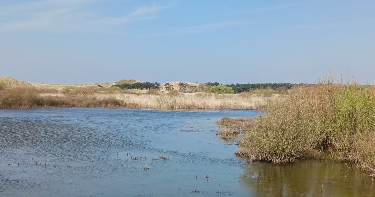Formby & Ravenmeols Nature Reserve - Ramblers