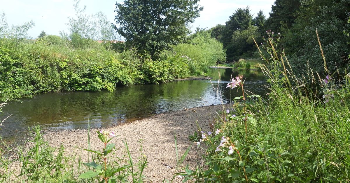 Lochore Meadows Country Park - Ramblers