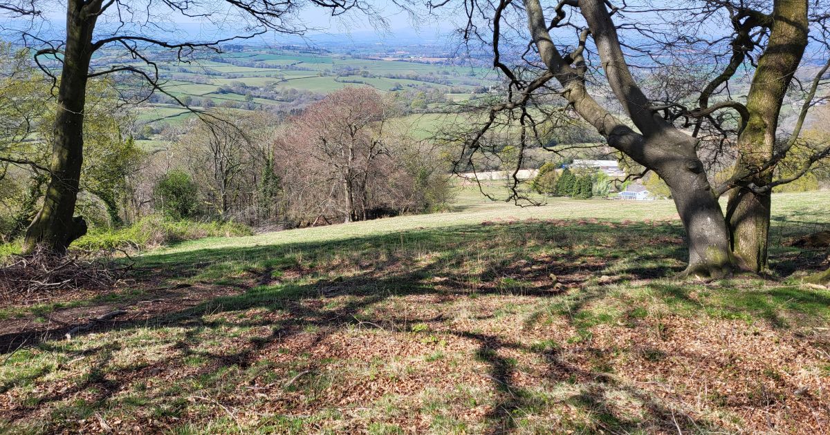 Where the Curlew Calls - Ramblers