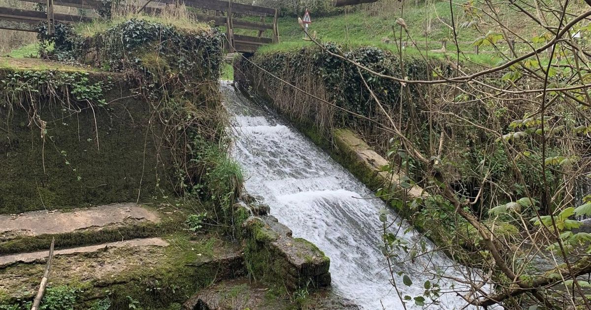 Tintern's Angidy Trail - Ramblers