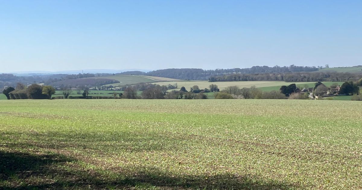 Hambledon - Ramblers