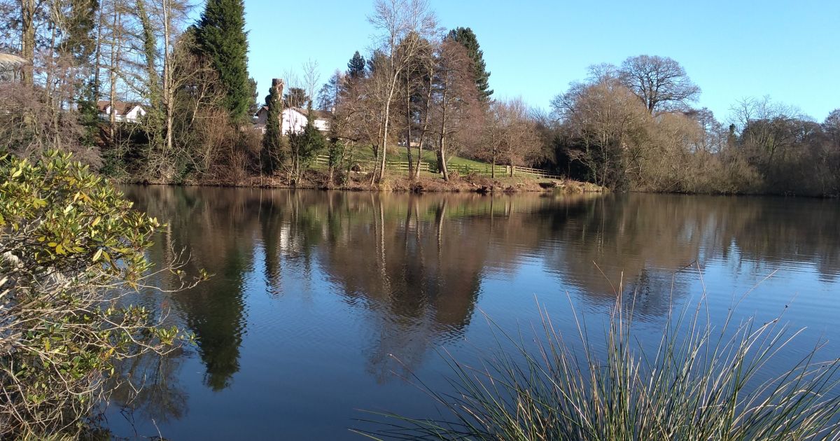 Blakedown (+ pub lunch). BOOKING ESSENTIAL - Ramblers