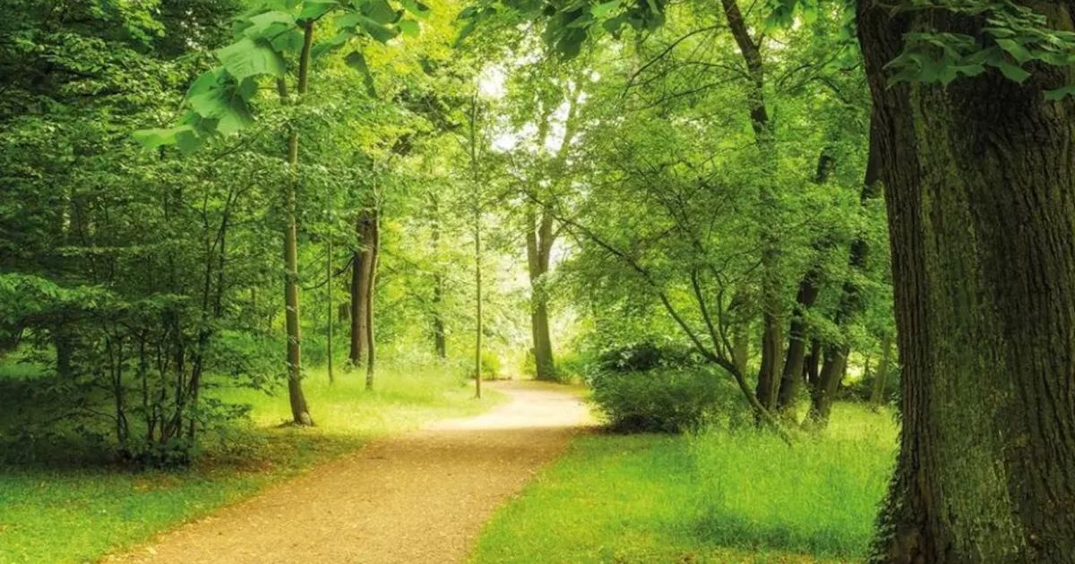 MONTHLY STROLL - Bunny Old Wood to Ruddington, Notts. - Ramblers