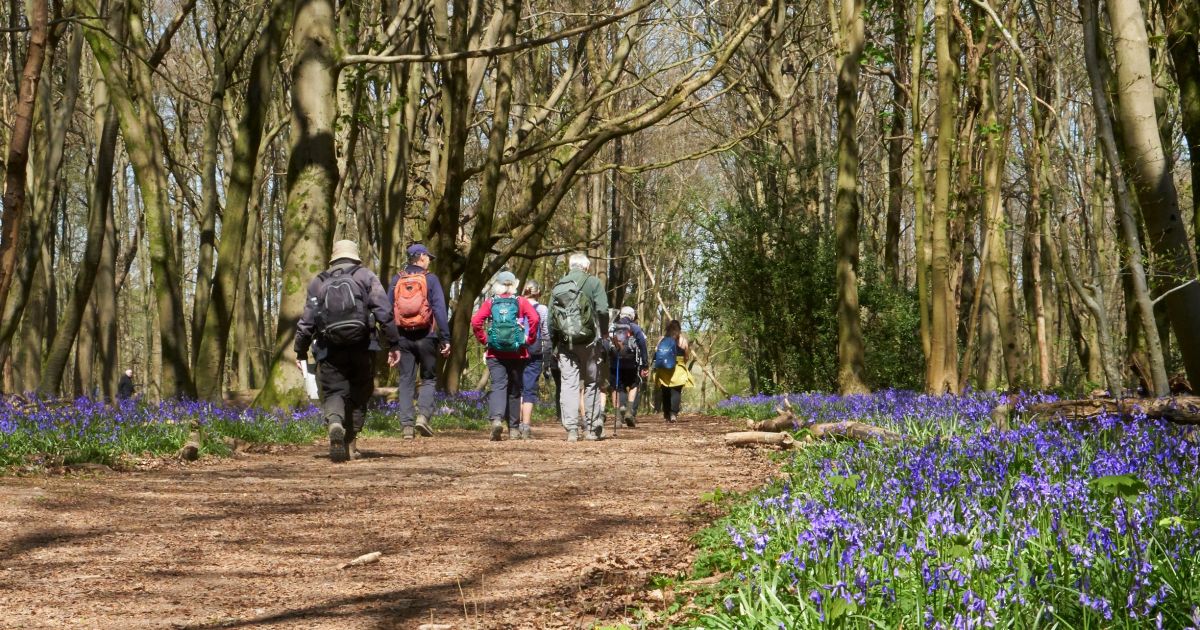 Cheriton circular. - Ramblers