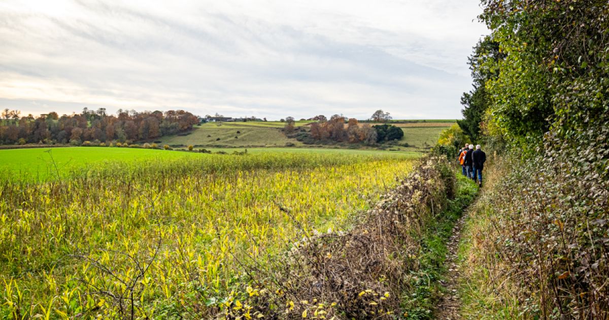 Farley mount circular - Ramblers