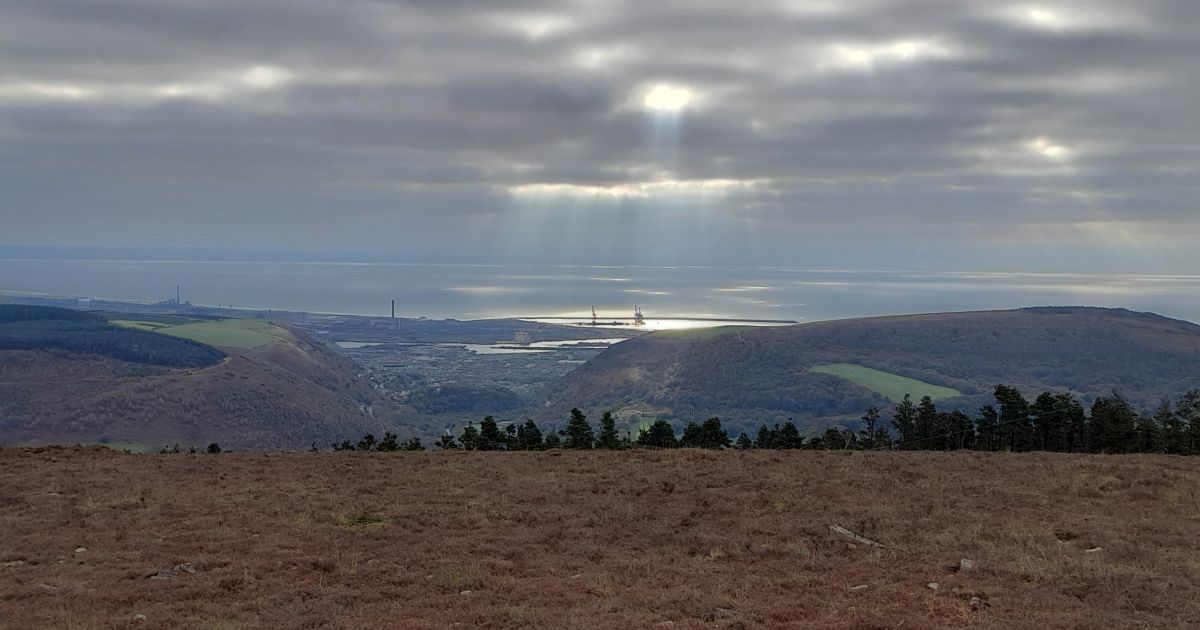 Briton Ferry Woods - Ramblers