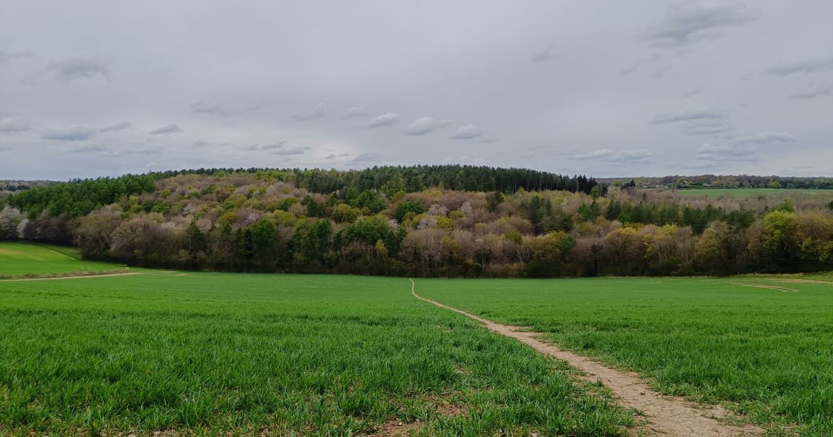 A very long and hilly Lane End Cicular - Ramblers