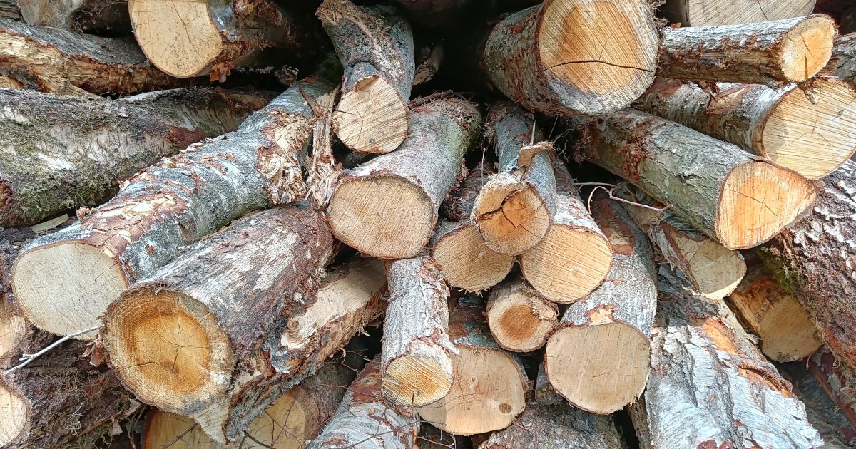 Burnham Beeches to Bourne End Loop - Ramblers