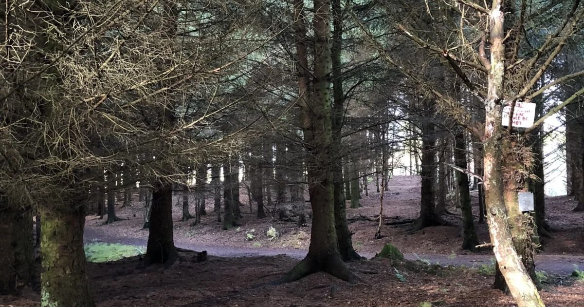 Glen Burn Circular - Ramblers