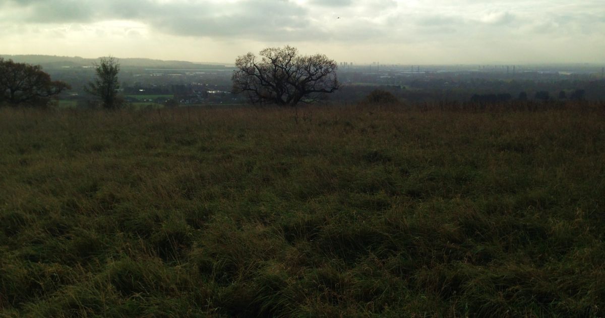 Fishers green - Ramblers