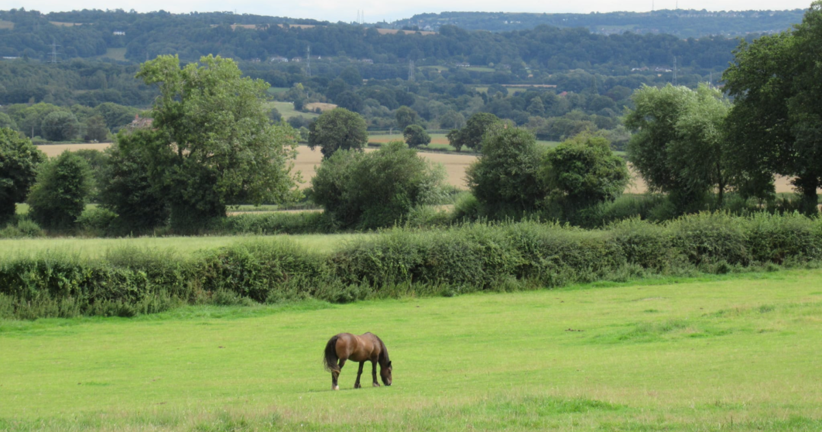 Trysull & Seisdon,South Staffordshire - Ramblers