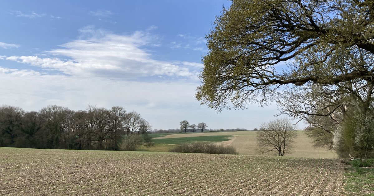 Farnham to Caesar's Camp circular - Ramblers