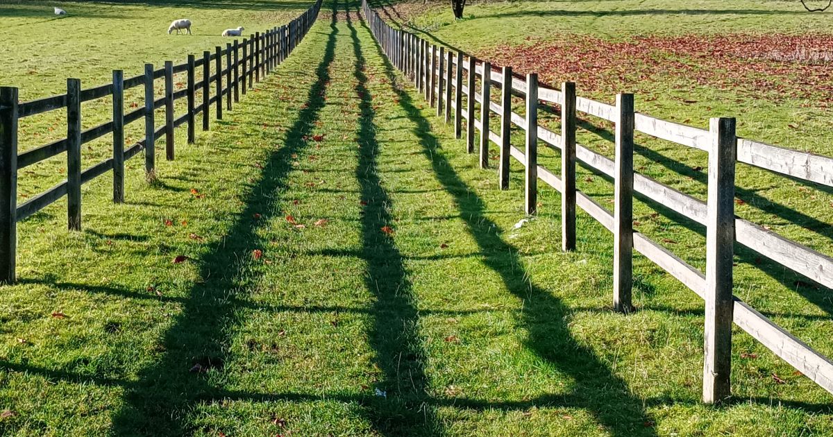 Cadmore End to Ibstone circular - Ramblers