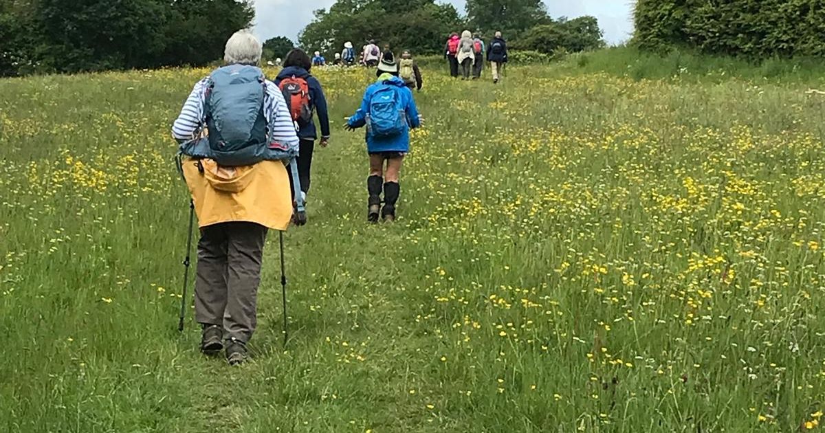 Lambley Dumbles - Ramblers