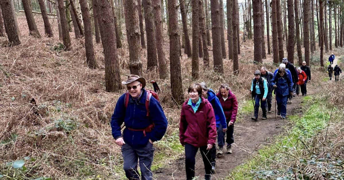 Silsoe Summery Stroll - Ramblers
