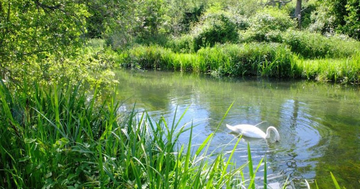 Otterbourne circular - Ramblers