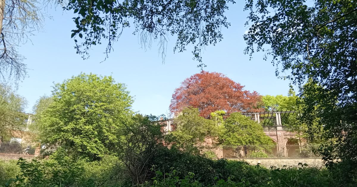 North London High Points - Alexandra Palace to Hampstead - Ramblers