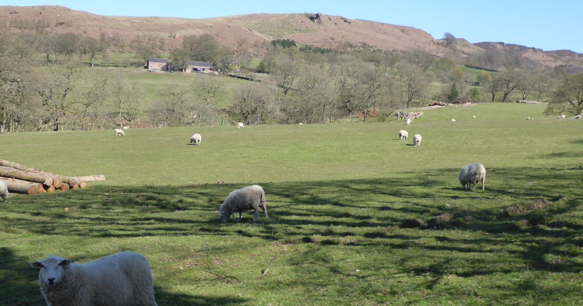 The Roaches and Dane Valley, Peak District: C Walk (BOOKING ESSENTIAL ...