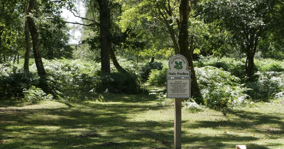 New Forest Classic - Ramblers