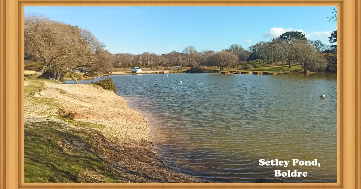SETLEY POND - Ramblers