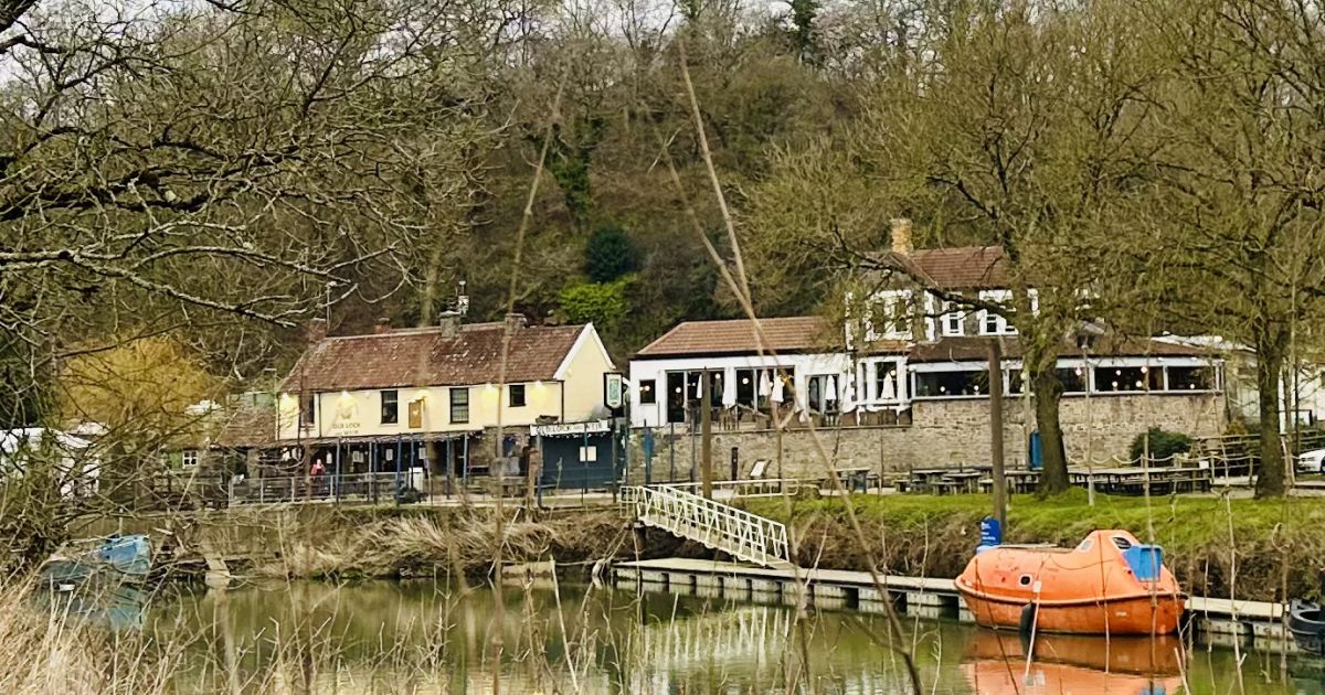 Hanham Woods (Kingswood Ramblers walk) - Ramblers
