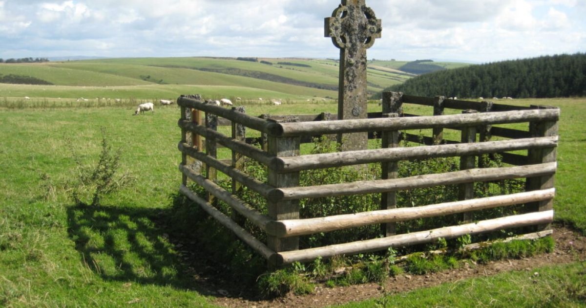 Clun Forest - Rhos Fiddle - Turbary - Ramblers