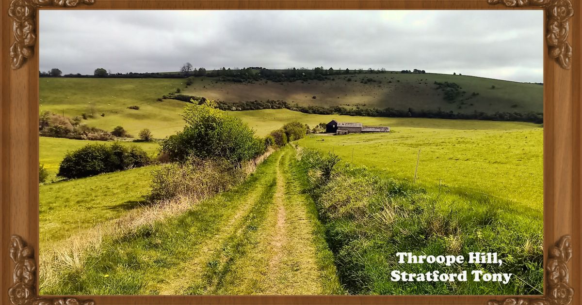 CRANBORNE DROVES WAY: MARTIN DOWN TO COOMBE BISSETT - Ramblers