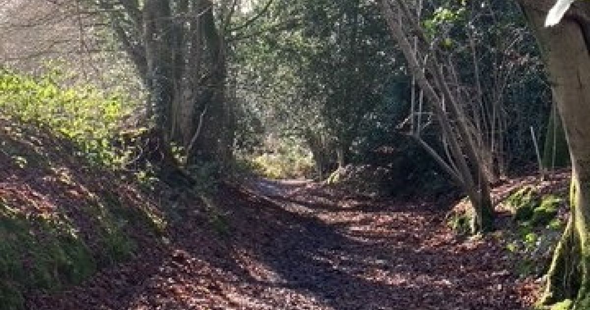 Standen - cake and culture - a short social walk - Ramblers