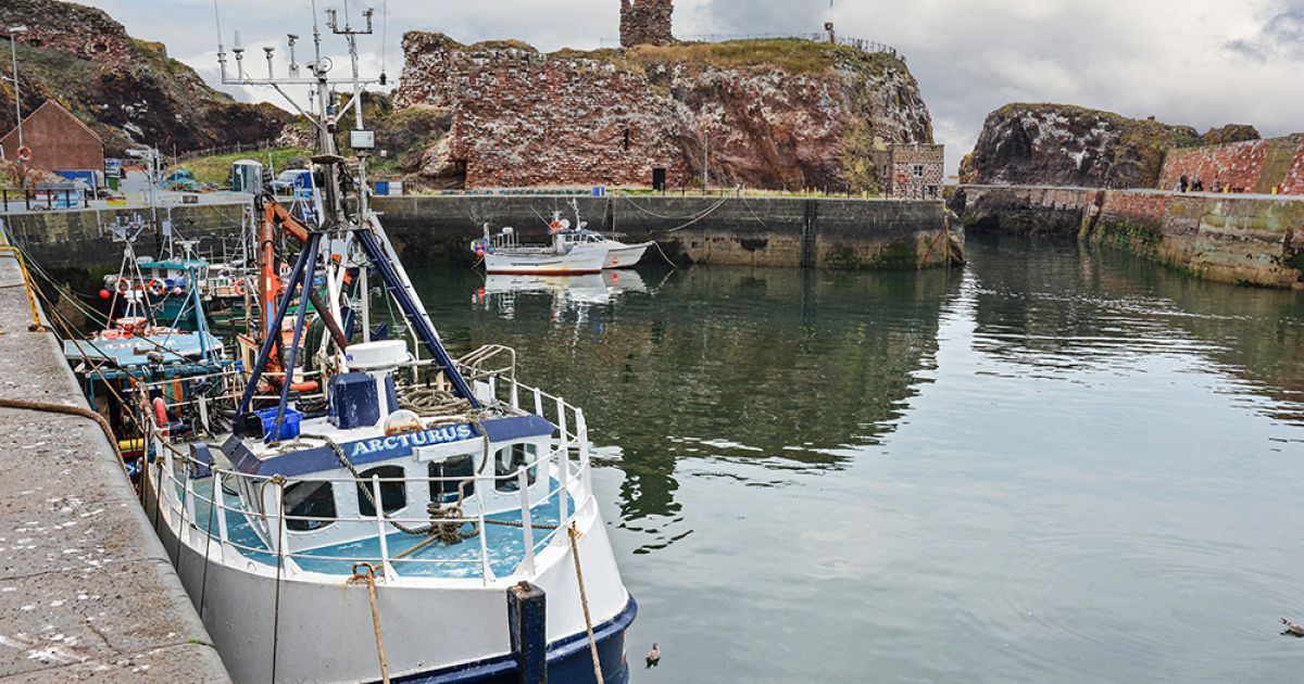 Dunbar, town & cliffs walk - Ramblers