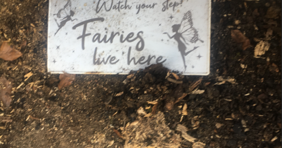 Flowery Field to Godley - Ramblers