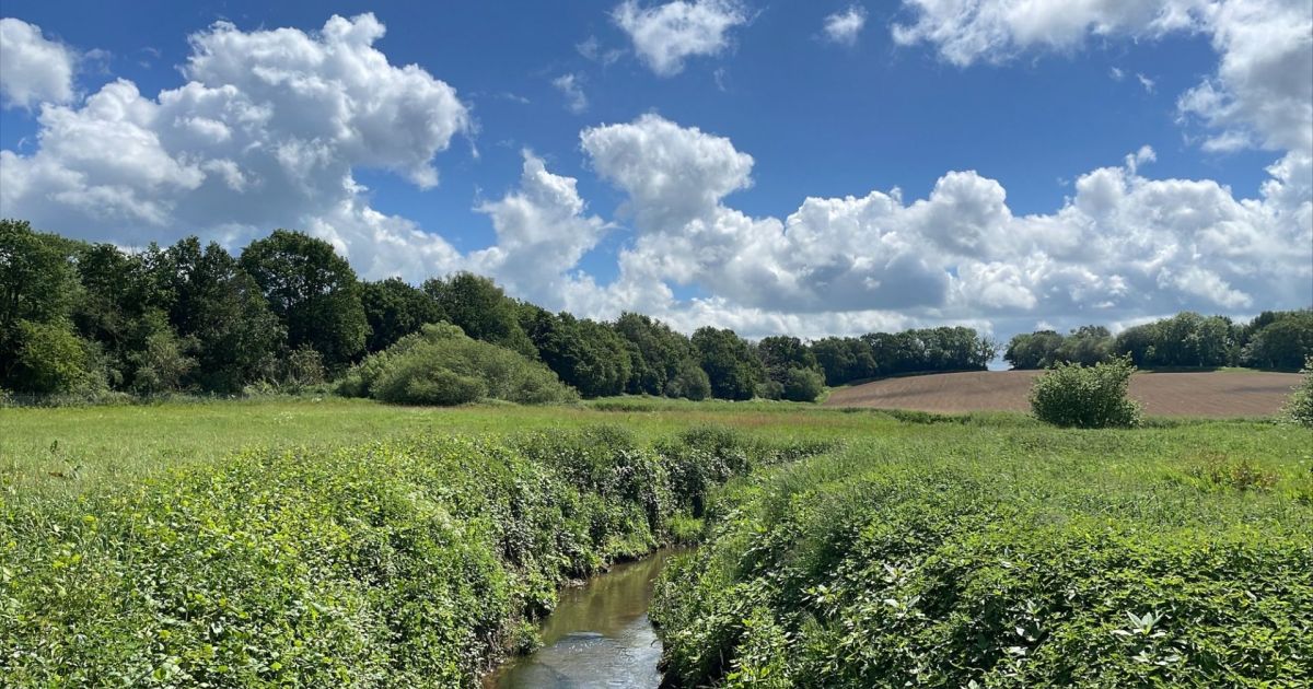 Wealdway Part 4: Ashurst (Kent) to Uckfield - Ramblers