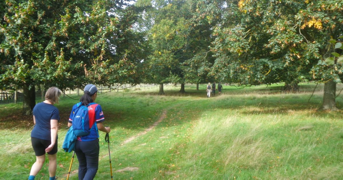 Bridge walk - Ramblers