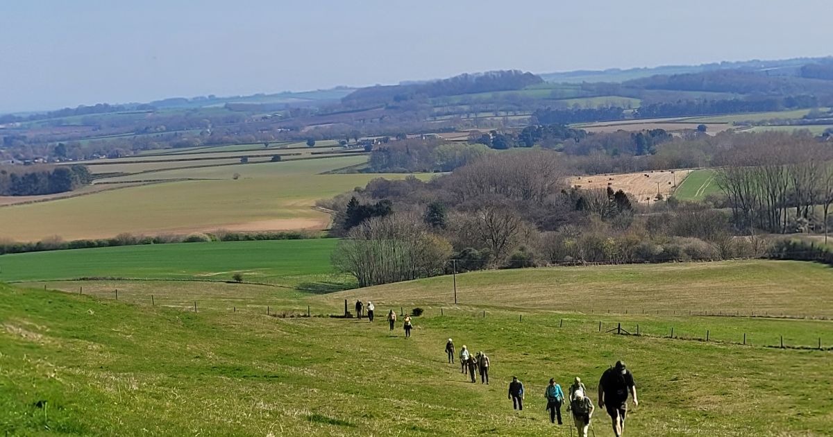 MAIDENWELL - Ramblers