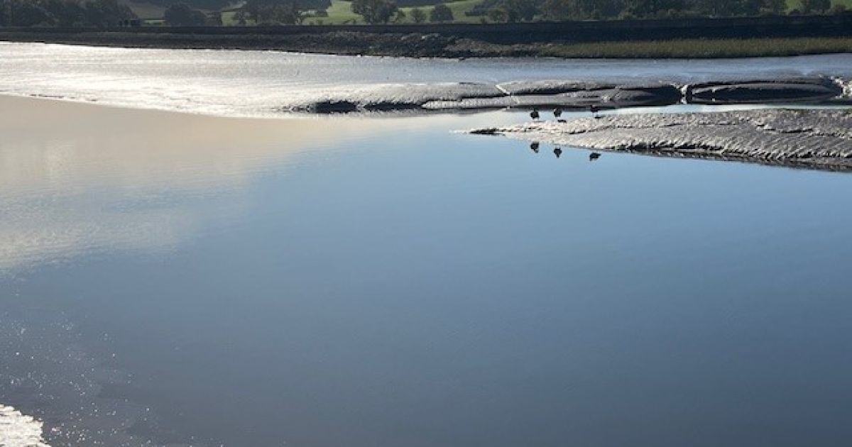 EXMINSTER MARSHES AND THE EXE VALLEY WAY FOLLOWING EXETER CANAL - Ramblers