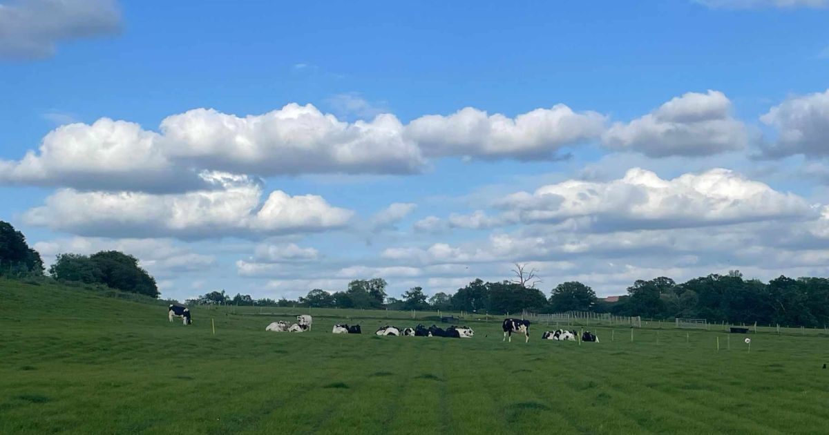 Brookmans Park to Boltons Park Farm Open Day (5 miles / 8km - Leisurely ...