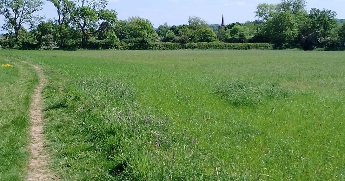 REMPSTONE TO BUNNY - Ramblers