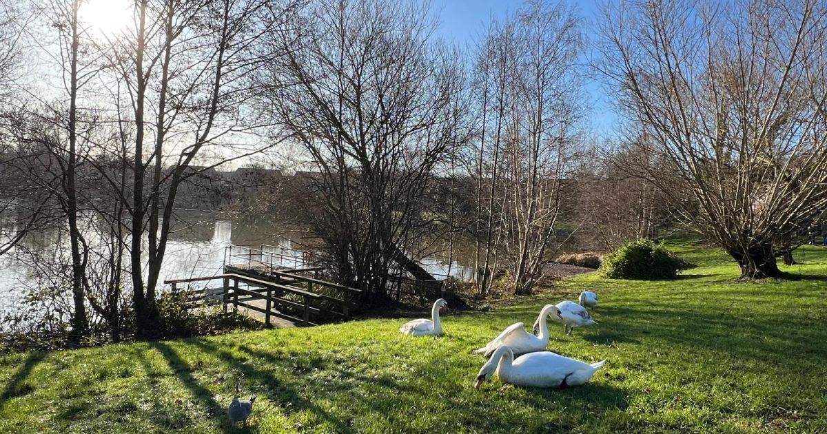 Easy Walk - Goldsworth Park / Horsell Common - Ramblers