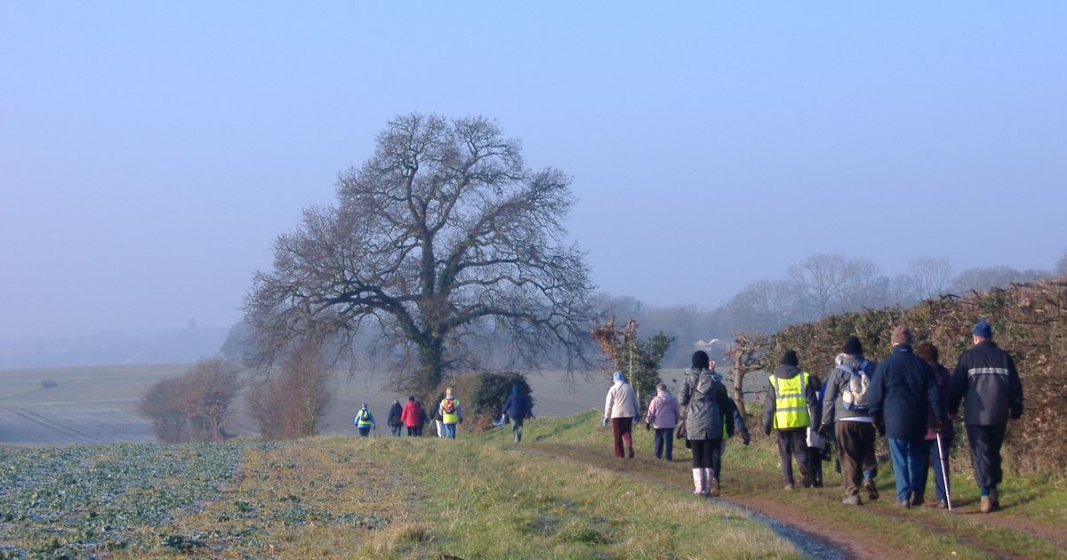 Standalone Farm - Grade 3