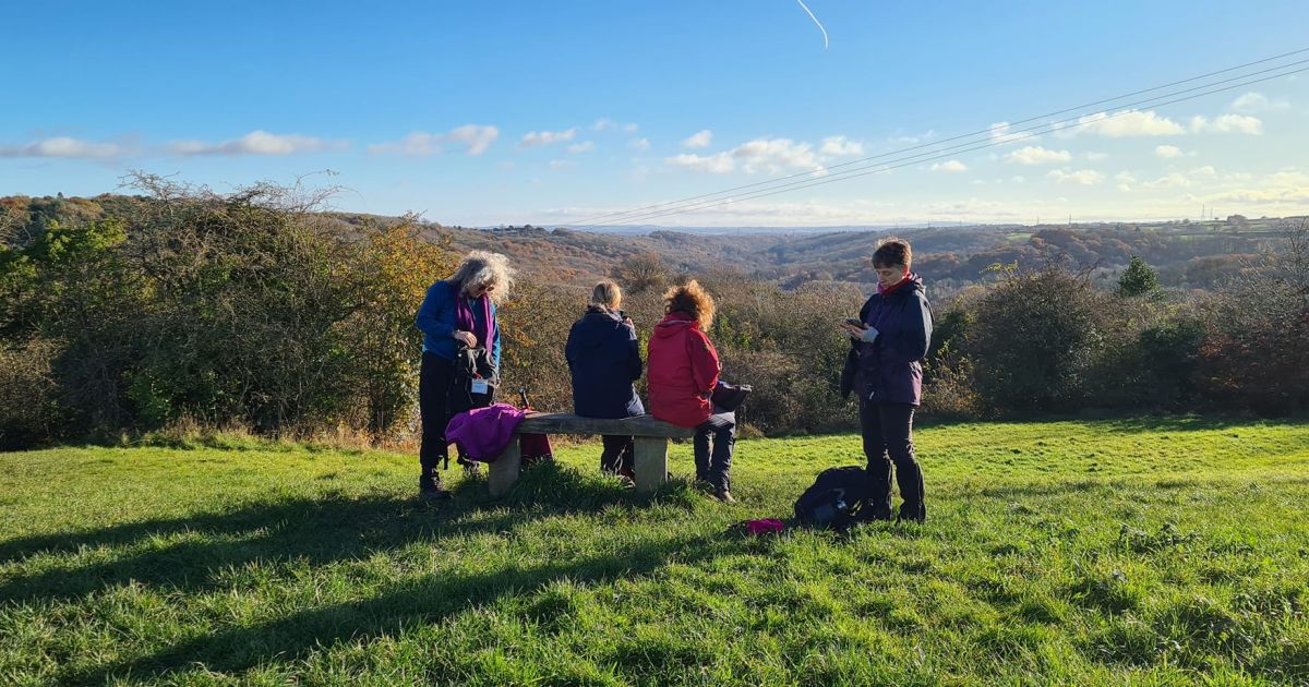 Telford Walk Week: Sutton Hill to Town Park via Stage 1 T50 Trail ...